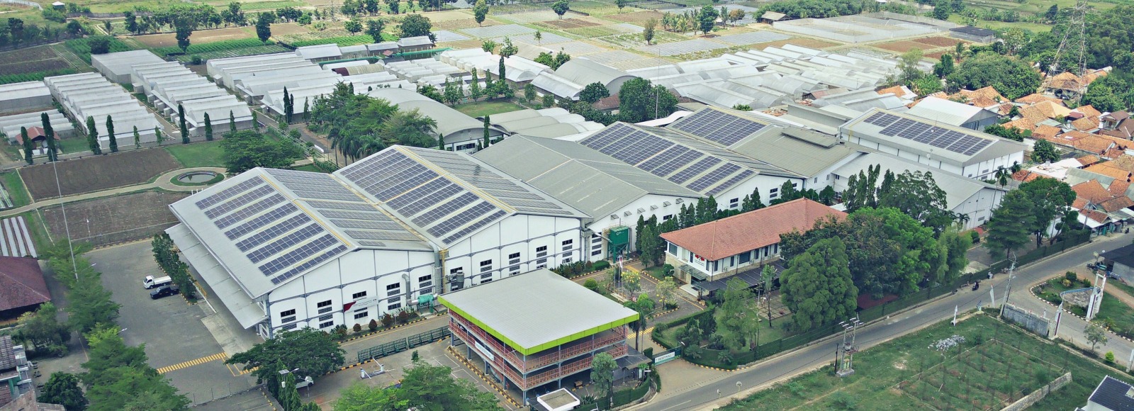 Home | PT East West Seed Indonesia