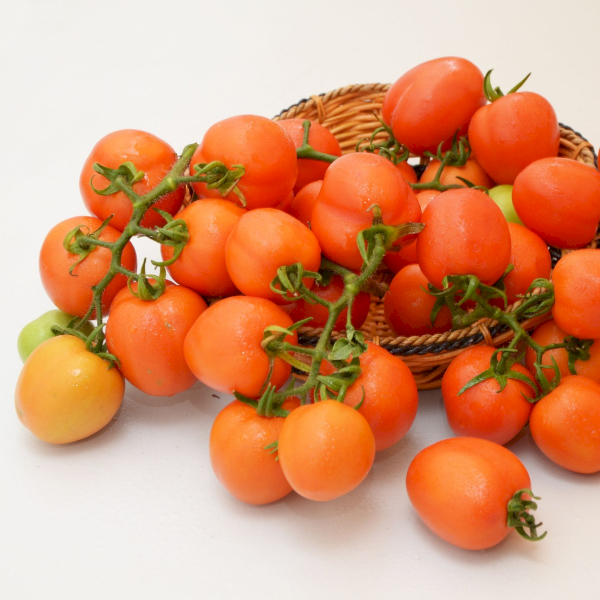 Product | PT East West Seed Indonesia