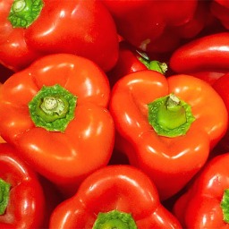 Product | PT East West Seed Indonesia